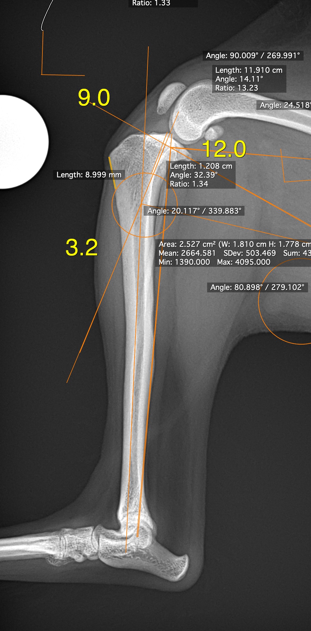 CBLO #179｜東京都町田市の二次診療動物病院 オールハート動物リファーラルセンター