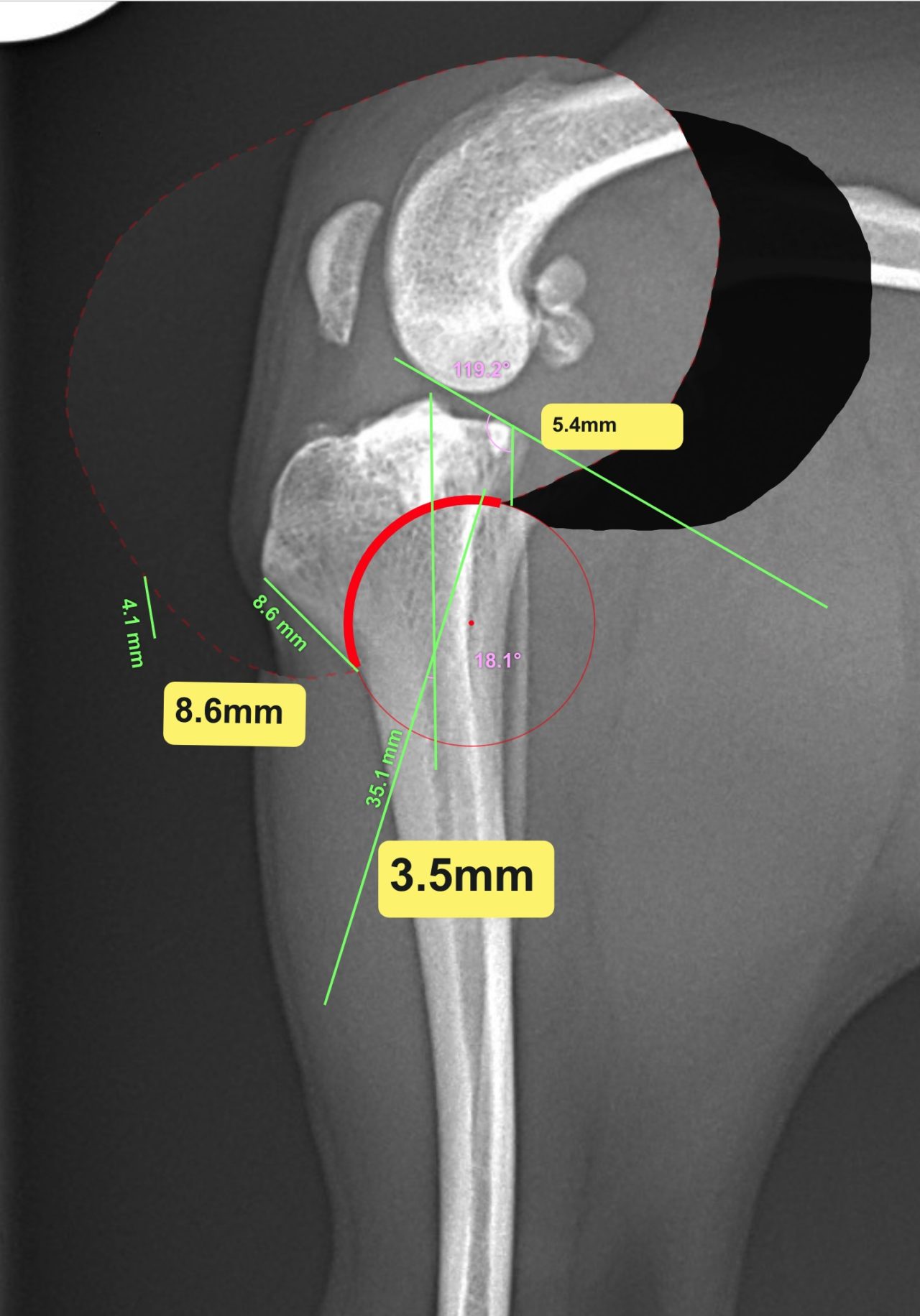 CBLO #191｜東京都町田市の二次診療動物病院 オールハート動物リファーラルセンター