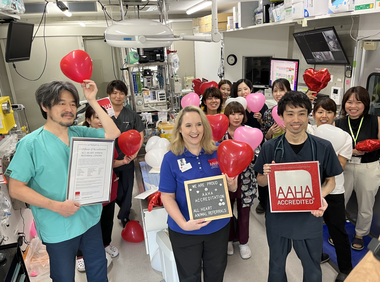 AAHA認定のおしらせ｜東京都町田市の二次診療動物病院 オールハート動物リファーラルセンター