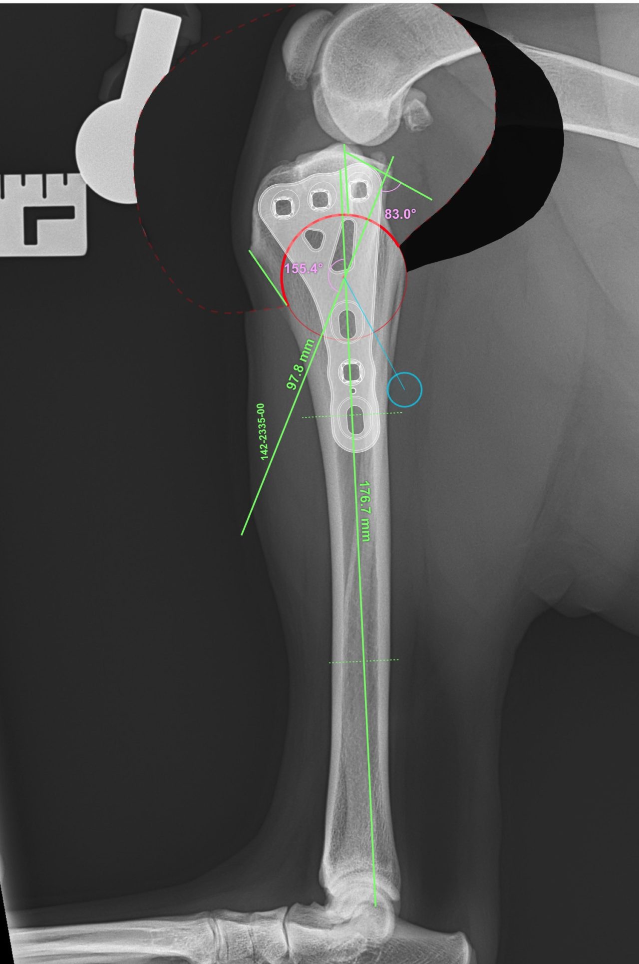 CBLO #202｜東京都町田市の二次診療動物病院 オールハート動物リファーラルセンター
