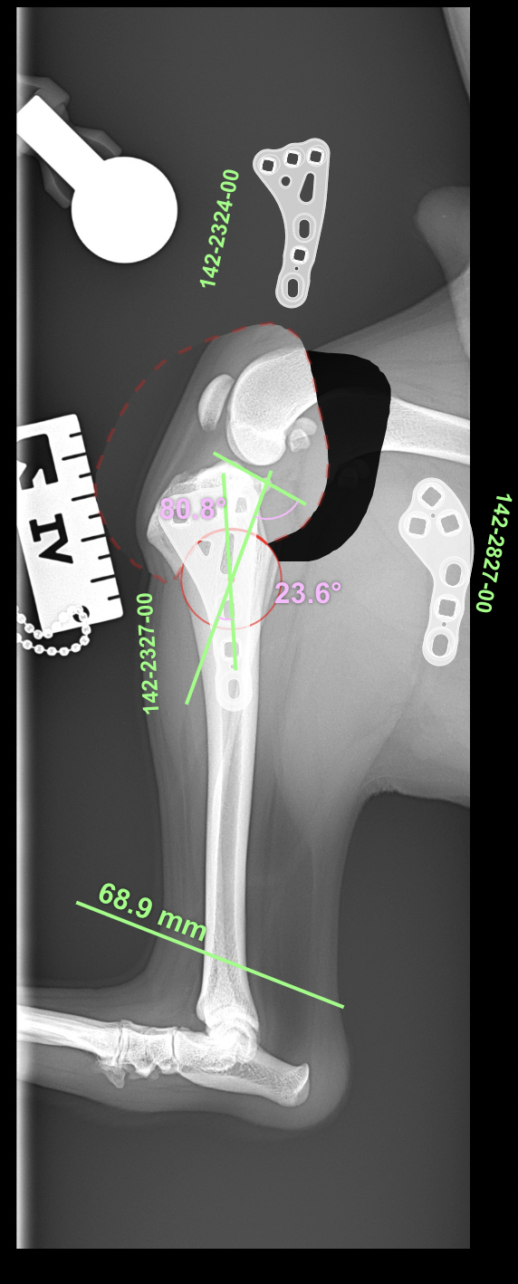 CBLO #213｜東京都町田市の二次診療動物病院 オールハート動物リファーラルセンター